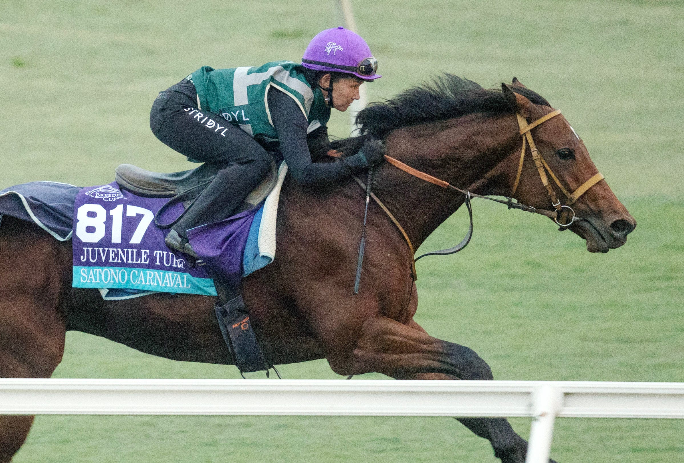 Japan: Admire Zoom has race under his belt for NHK Mile